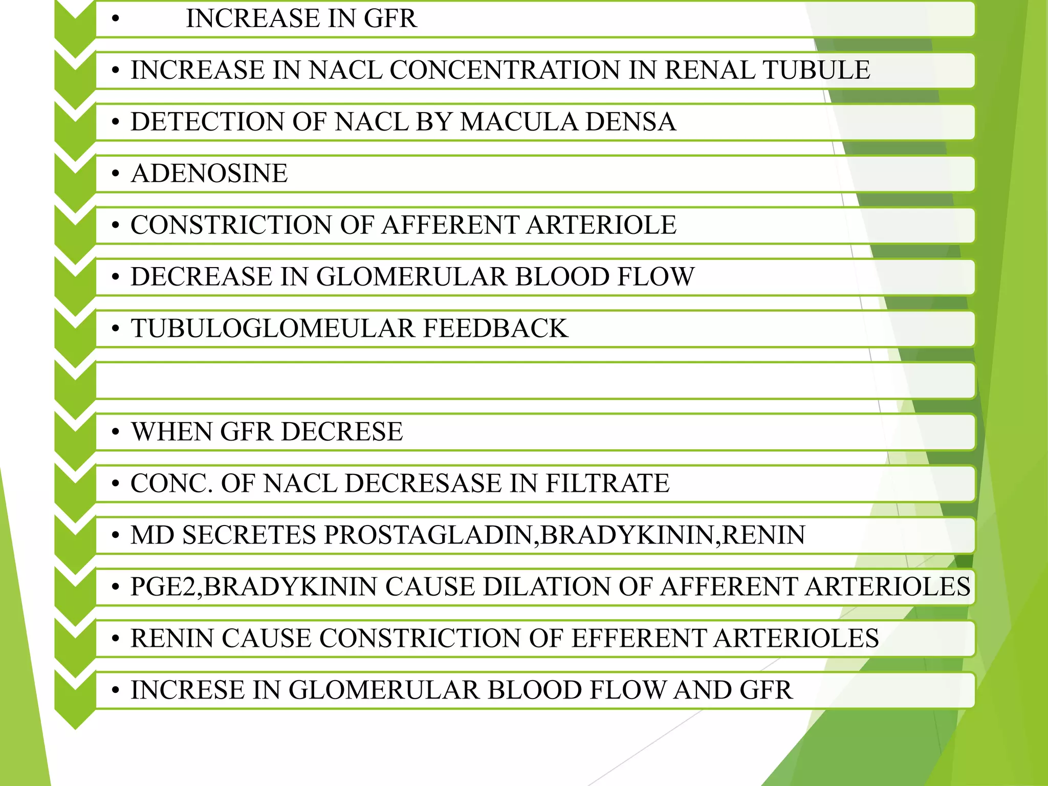 JUXTA GLOMERULAR apparatus | PPTX