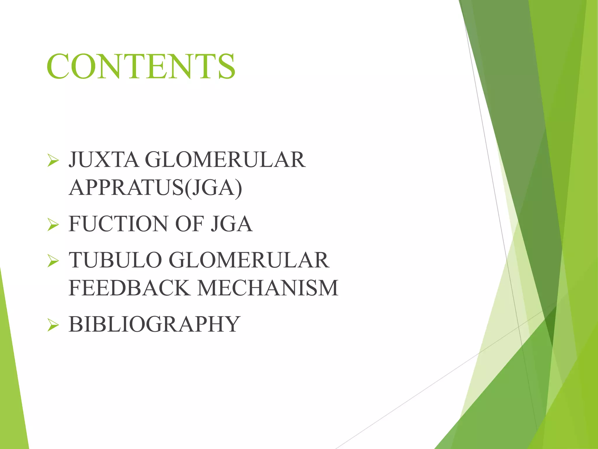 JUXTA GLOMERULAR apparatus | PPTX