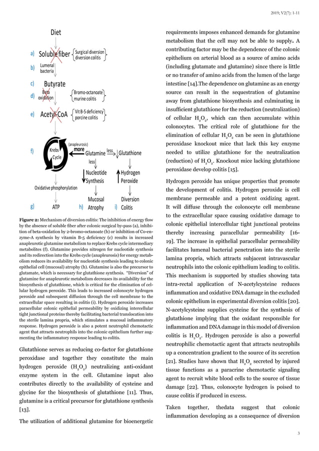 Diversion Colitis: A Bioenergetic Model of Pathogenesis | PDF