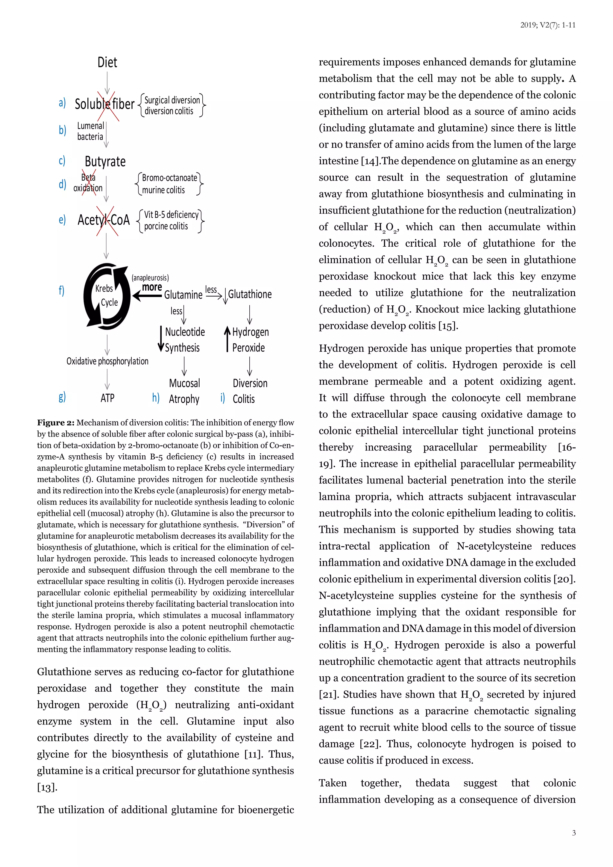 Diversion Colitis: A Bioenergetic Model of Pathogenesis | PDF