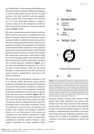 Diversion Colitis: A Bioenergetic Model of Pathogenesis | PDF
