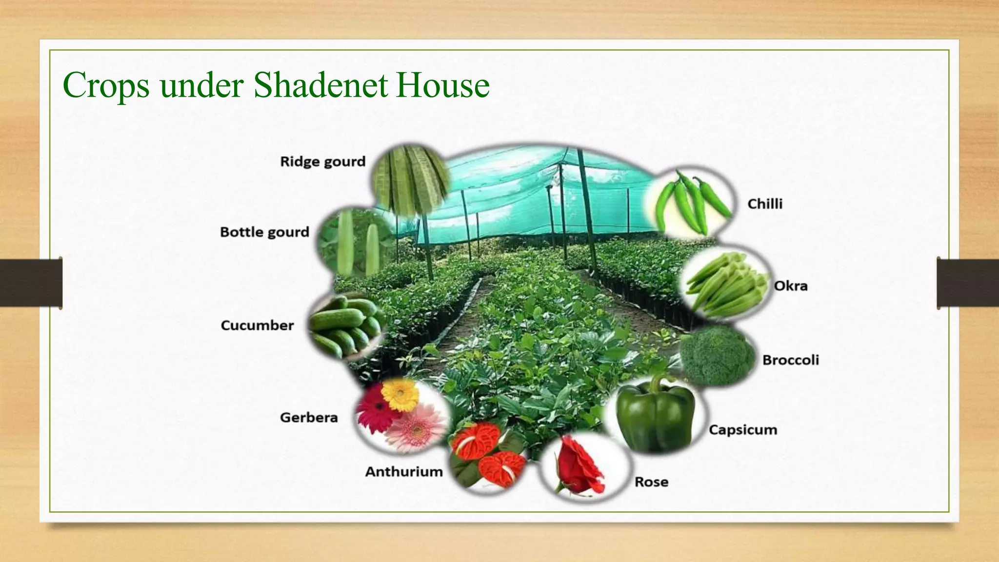 Types of polyhouse | PPTX