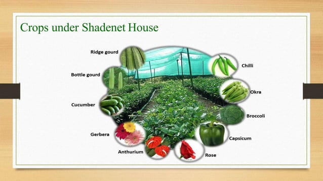 Types of polyhouse | PPTX | Gardening | Home & Garden