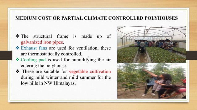 Types of polyhouse | PPTX | Gardening | Home & Garden