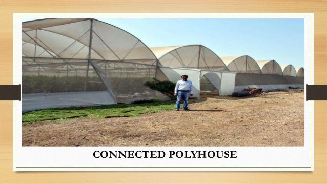 Types of polyhouse