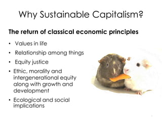Sustainable capitalism: A Matter of Common sense | PDF
