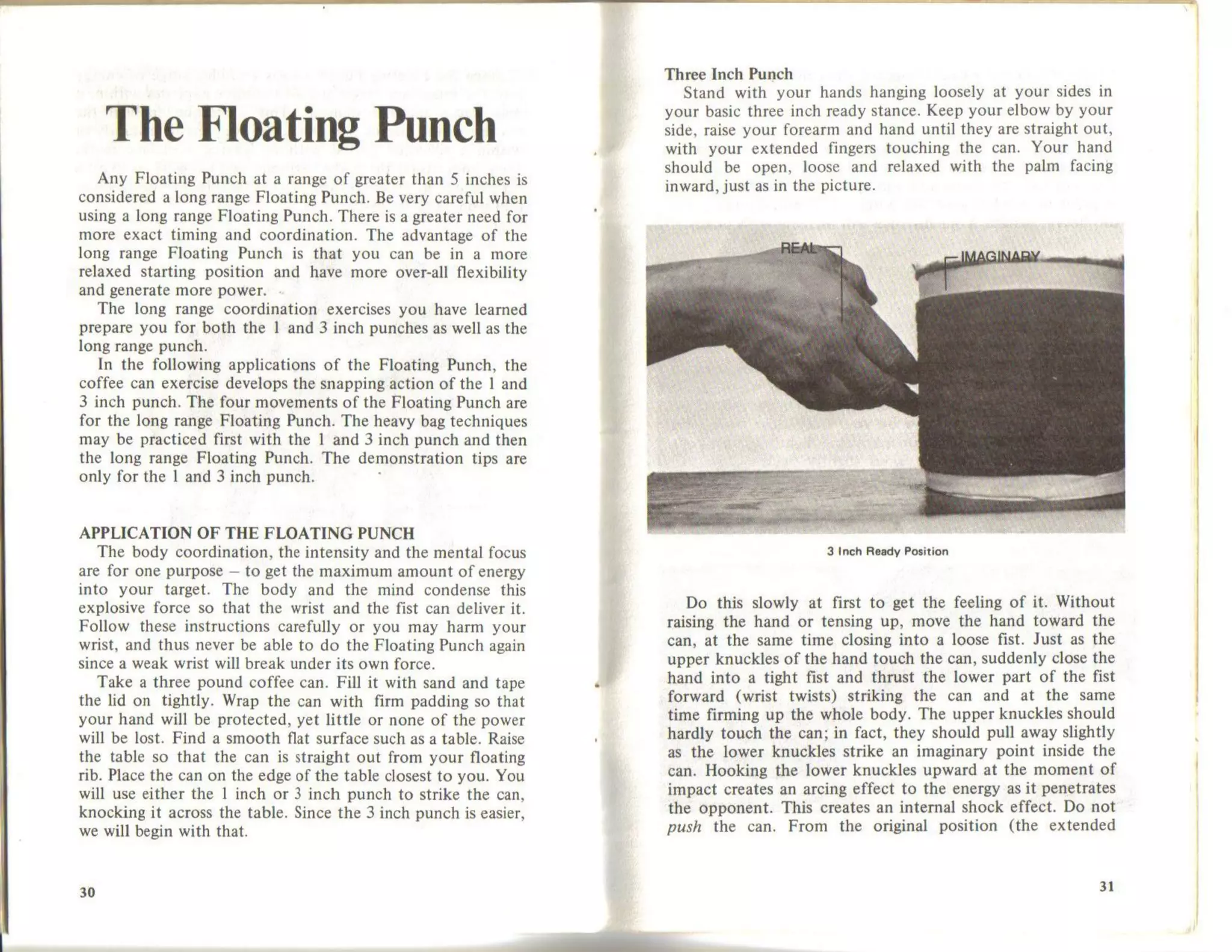 Jkd bruce lee's inch punch | PDF