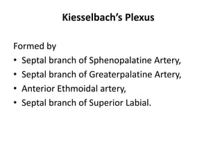 Internal Nose | PPTX