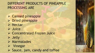 PINEAPPLE CULTIVATION Propagation -harvest | PPTX