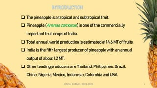 PINEAPPLE CULTIVATION Propagation -harvest | PPTX