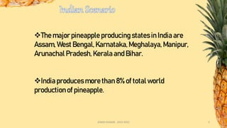 PINEAPPLE CULTIVATION Propagation -harvest | PPTX