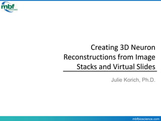 Creating 3D neuron reconstructions from image stacks and virtual slides ...
