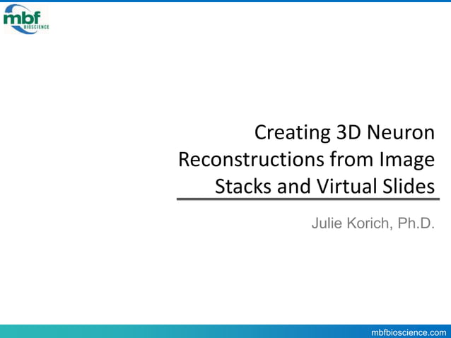 Creating 3D neuron reconstructions from image stacks and virtual slides | PPT