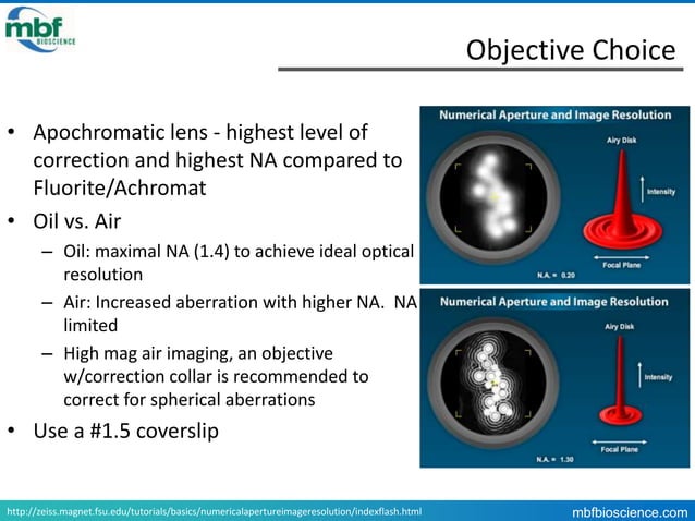 Creating 3D neuron reconstructions from image stacks and virtual slides | PPTX | 3-D Graphics ...