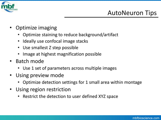 Creating 3D neuron reconstructions from image stacks and virtual slides | PPTX | 3-D Graphics ...