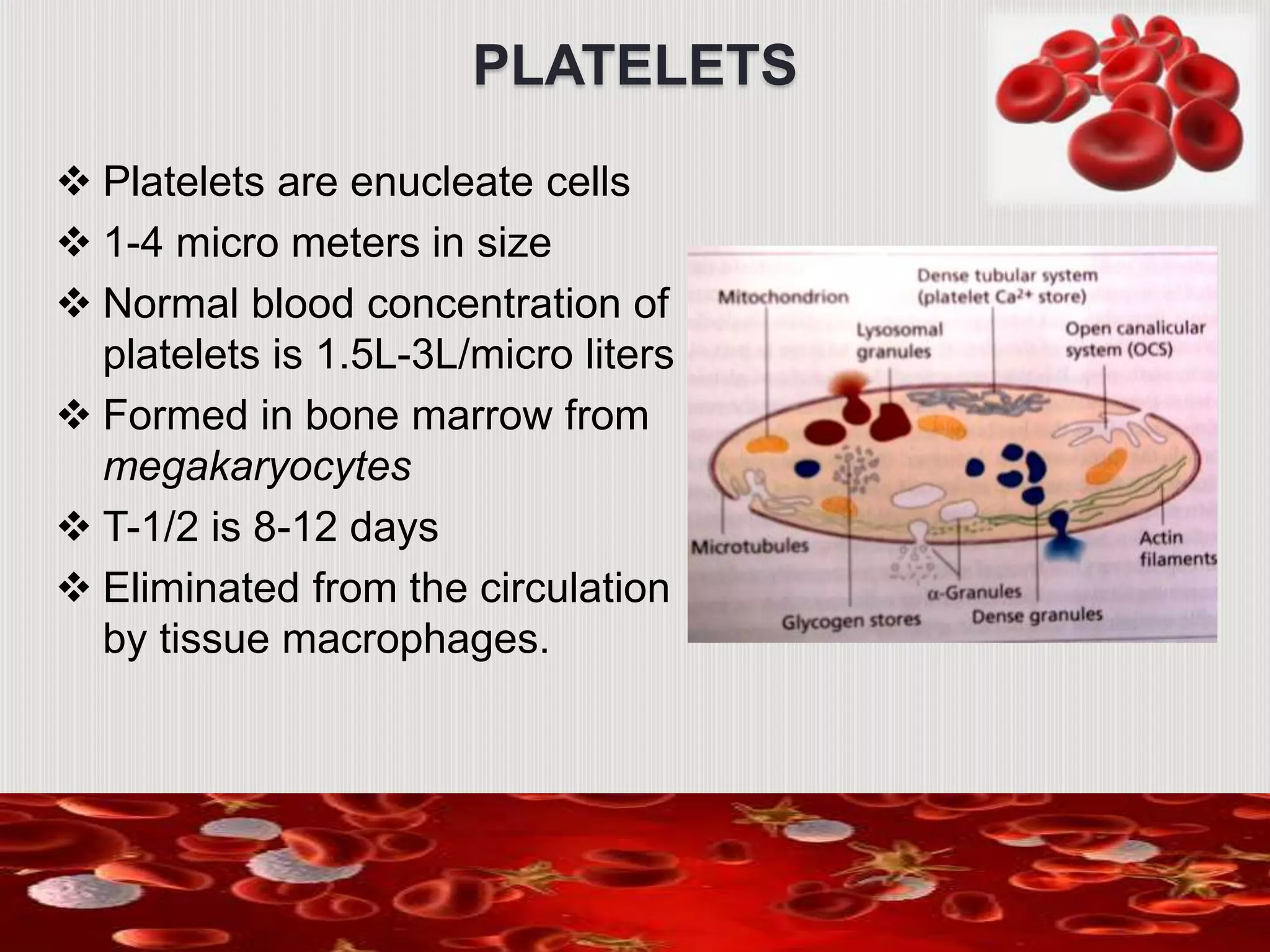 Hemostasis | PPTX