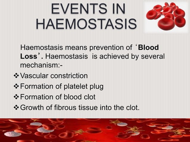 Hemostasis | PPTX | Blood Disorders | Diseases and Conditions