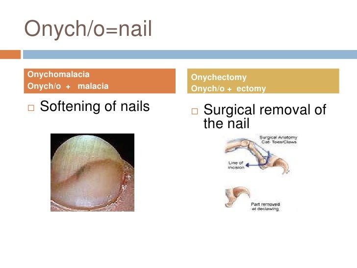 J kontopoulos chapter #3
