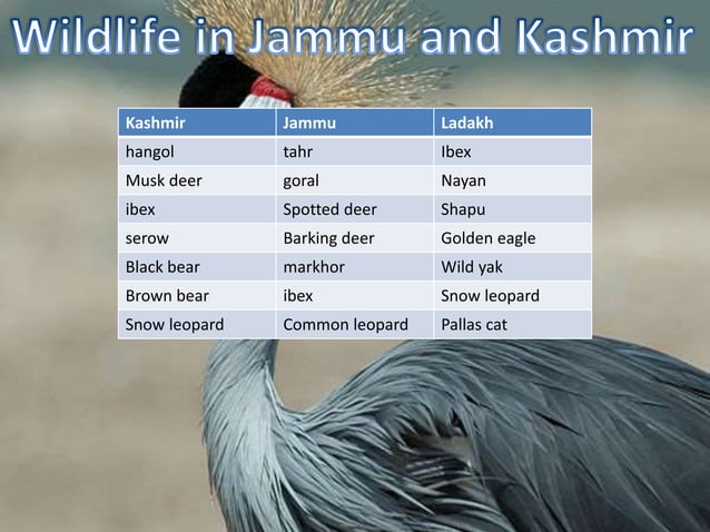 jammu and kashmir | PPTX