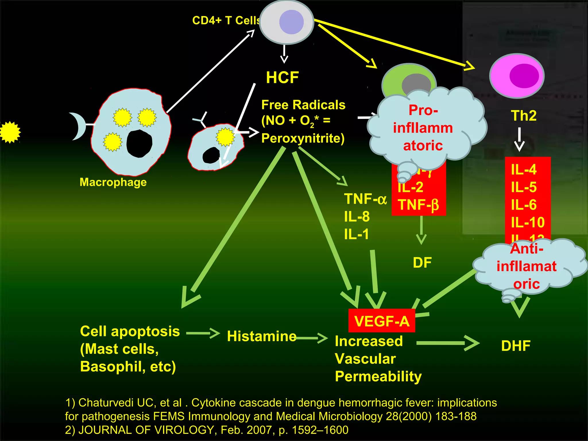 Update on fluid therapy in dhf | PPT