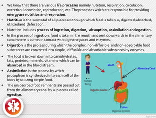 Digestive system | PPTX