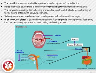 Digestive system | PPTX