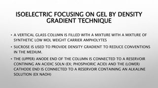 J Kuber Singh - Isoelectric Focusing Electrophoresis and Moving ...