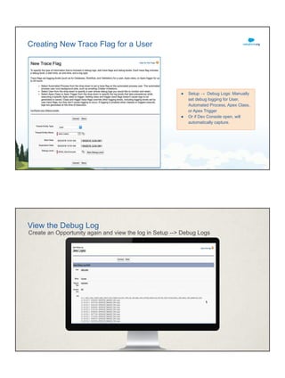 Bug Hunting with the Salesforce Developer Console | PDF
