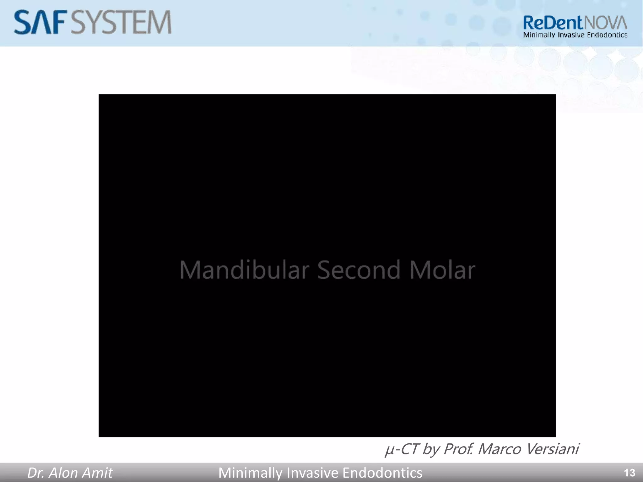 SAF System presentation - July 2014 | PPTX