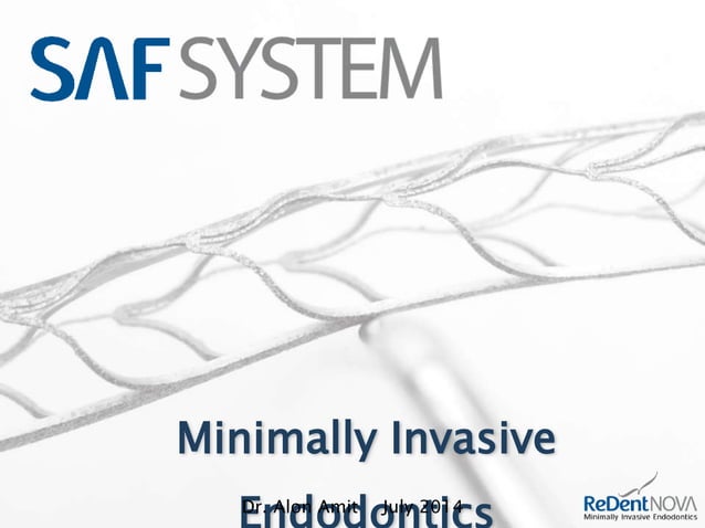 SAF System presentation - July 2014 | PPTX