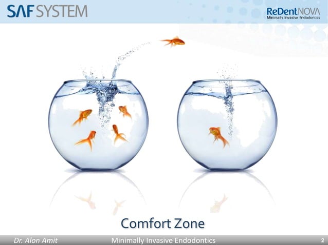 SAF System presentation - July 2014 | PPTX