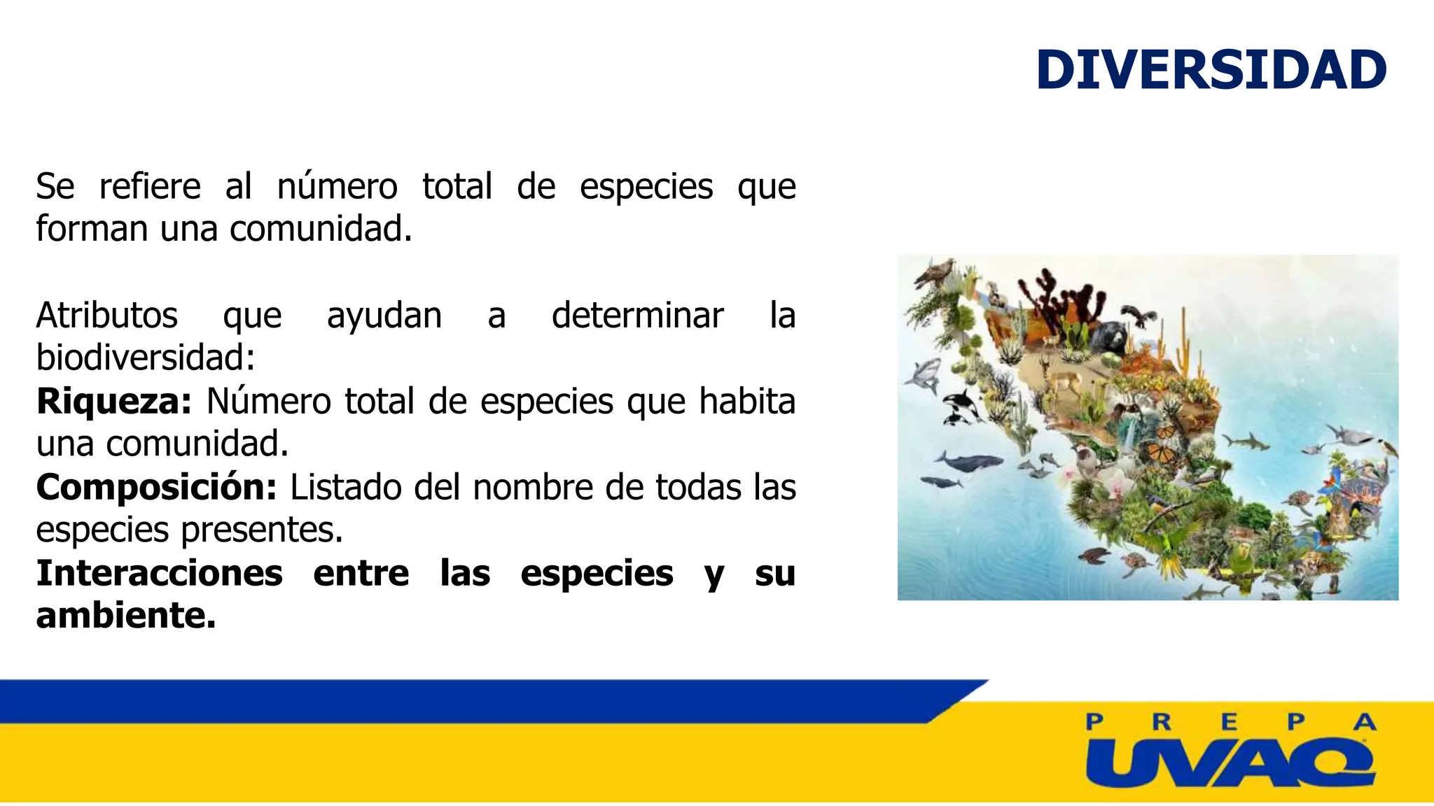 3_DIVERSIDAD.pptx definición y tipos de diversidad | PPTX