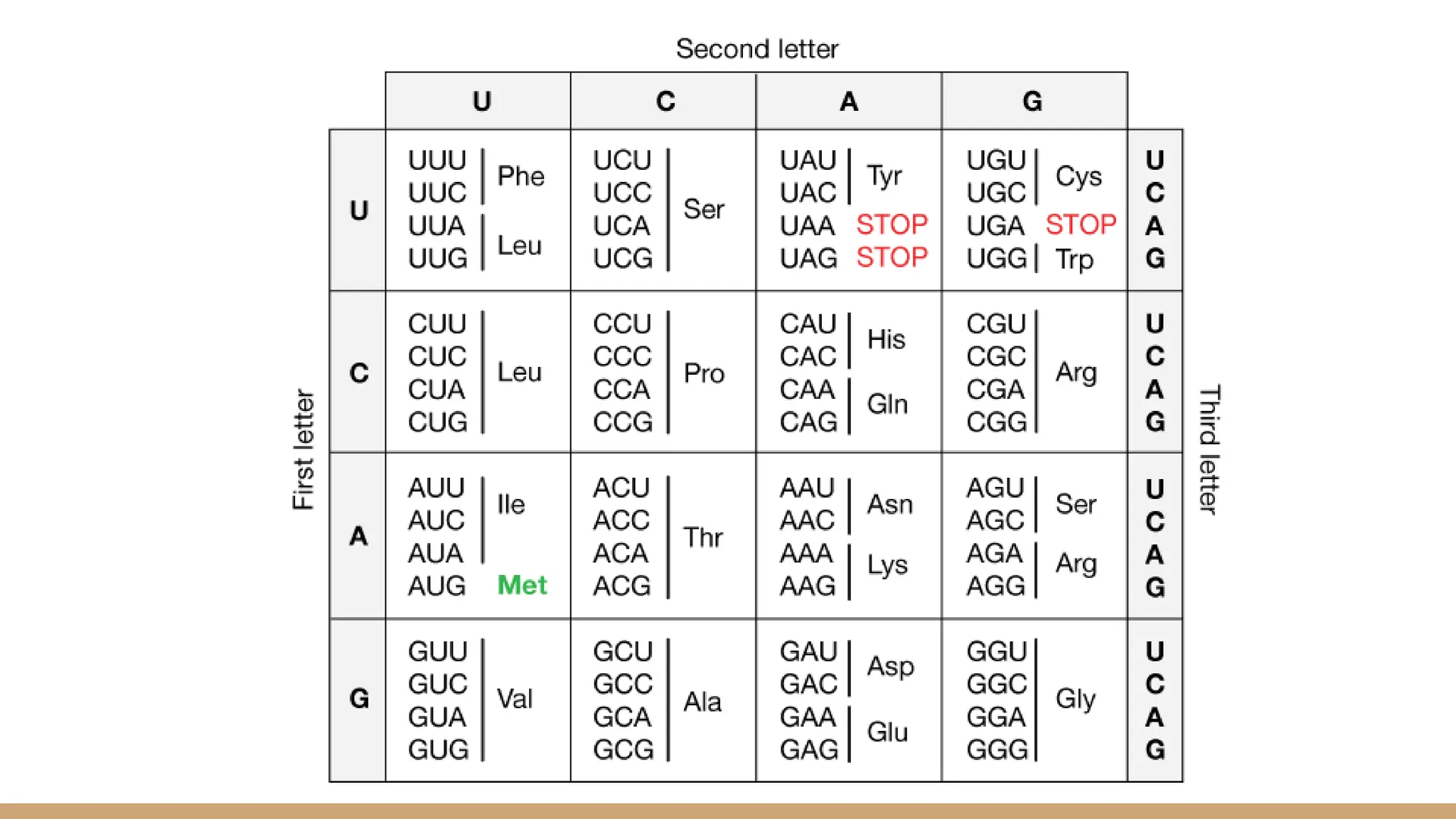 Genetic code properties and Wobble hypothesis.pptx