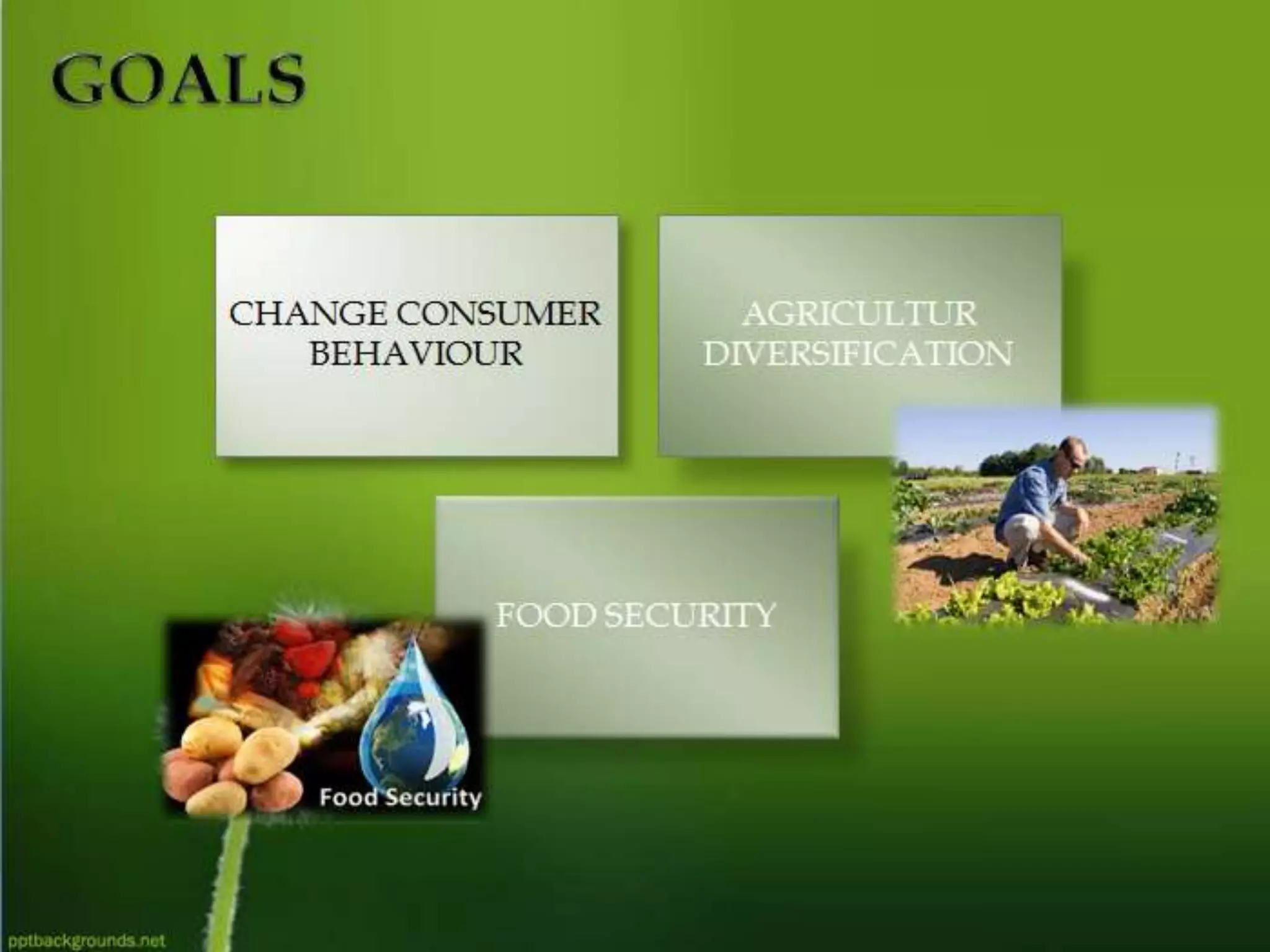 food safety case study.. | PPTX