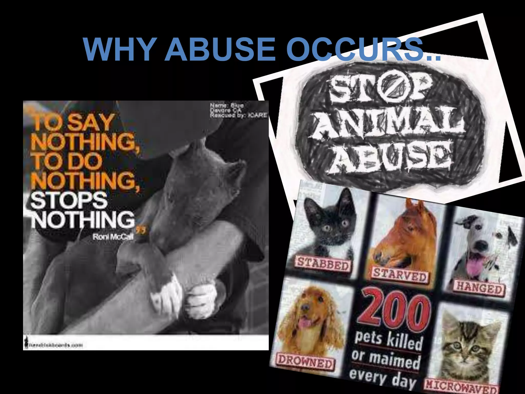 Jma presentation animal abuse cruelty powerpoint chavez | PPTX