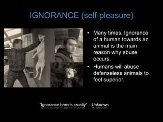 Jma presentation animal abuse cruelty powerpoint chavez | PPT