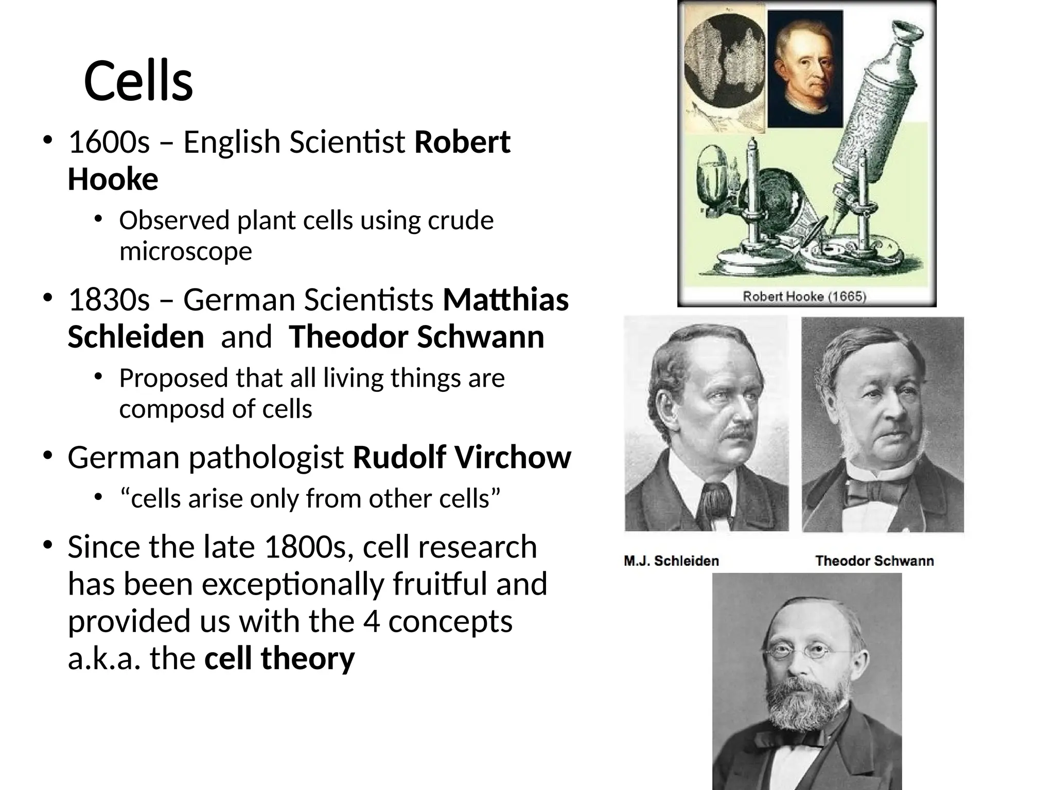 human anatomy and physiology: cells and tissues | PPTX