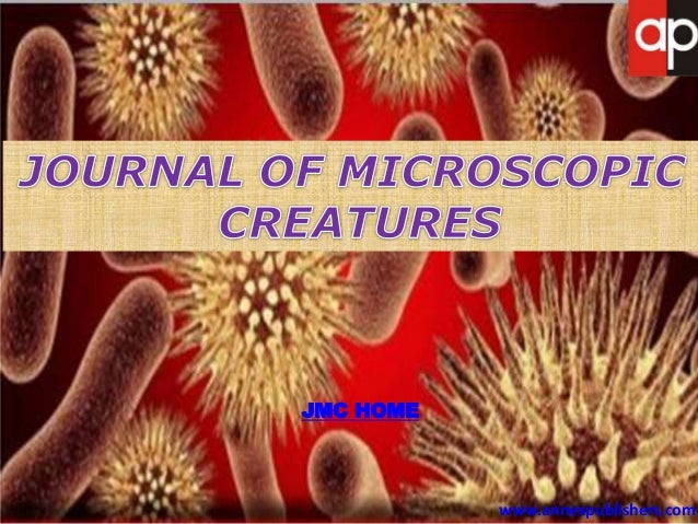 Strange Microscopic Creatures