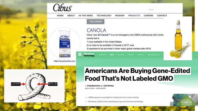 Redesigning Life: Synthetic Biology, New Genetic Engineering and Ethics ...