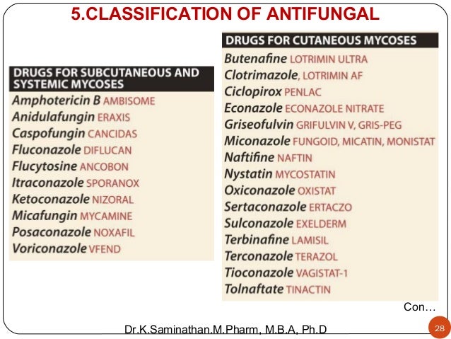 6.ANTIFUNGAL DRUGS