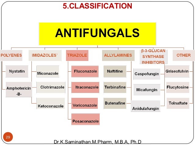 6.ANTIFUNGAL DRUGS