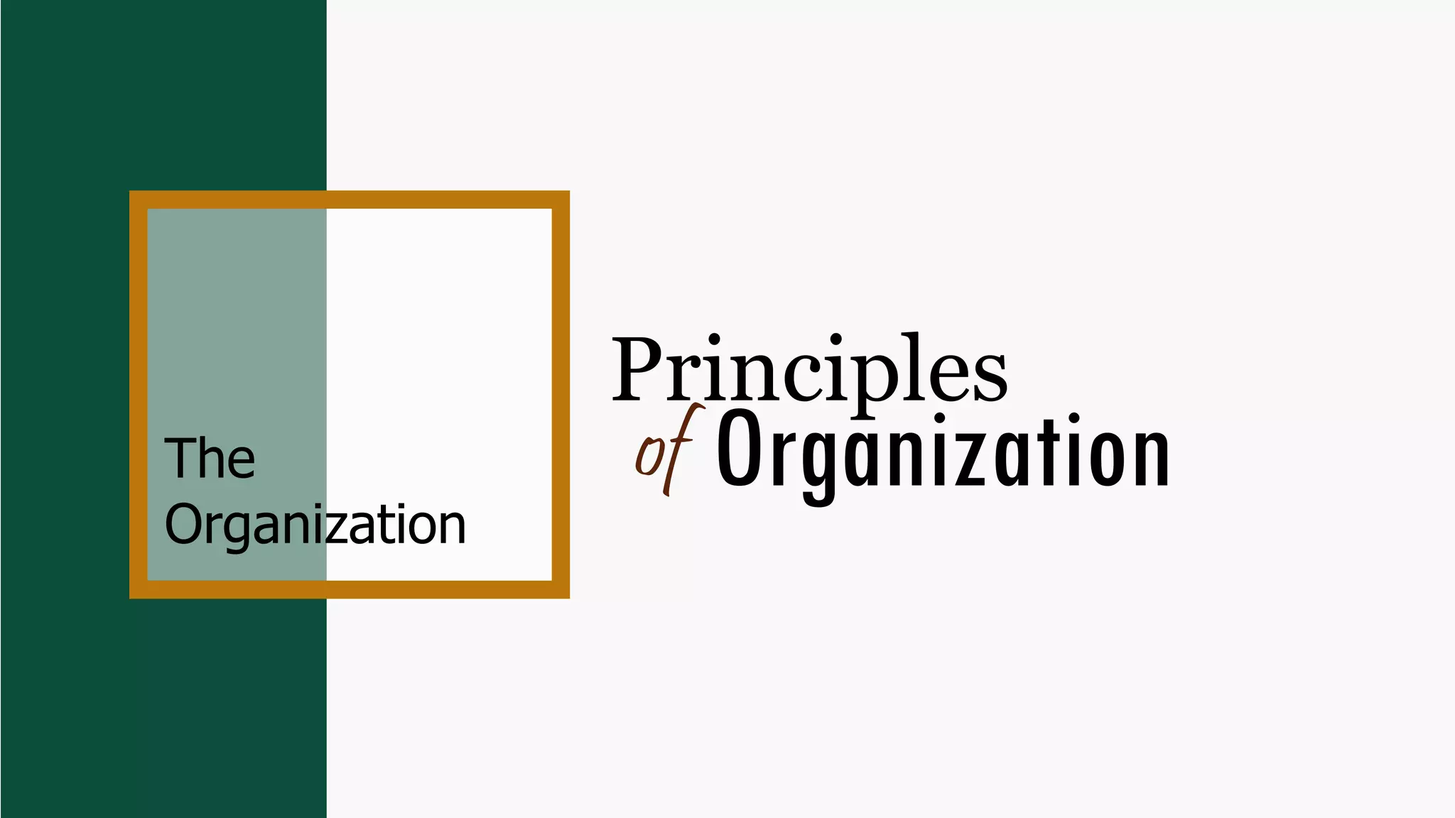 The Organization; Concepts & Principles | PDF