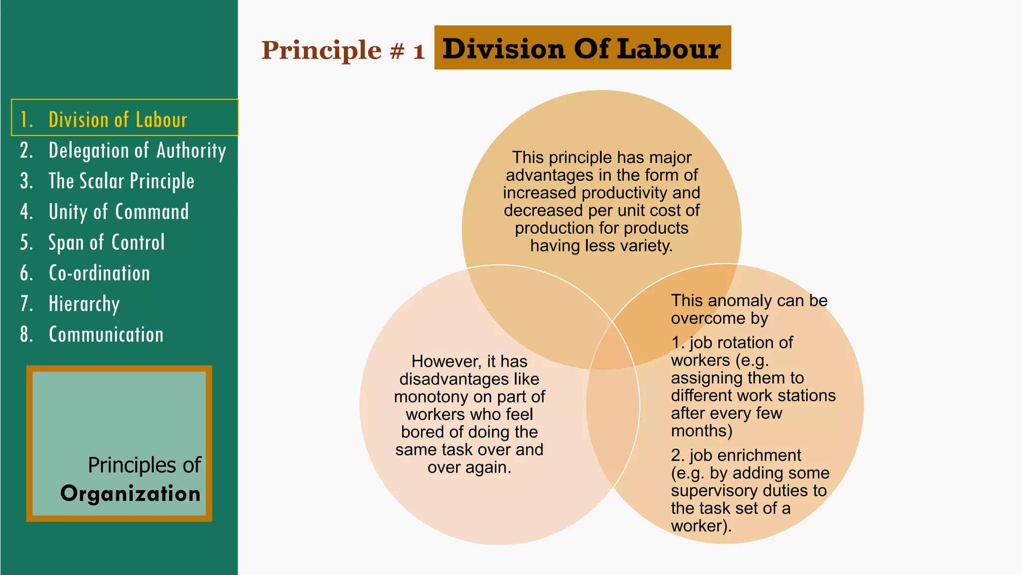 The Organization; Concepts & Principles | PDF