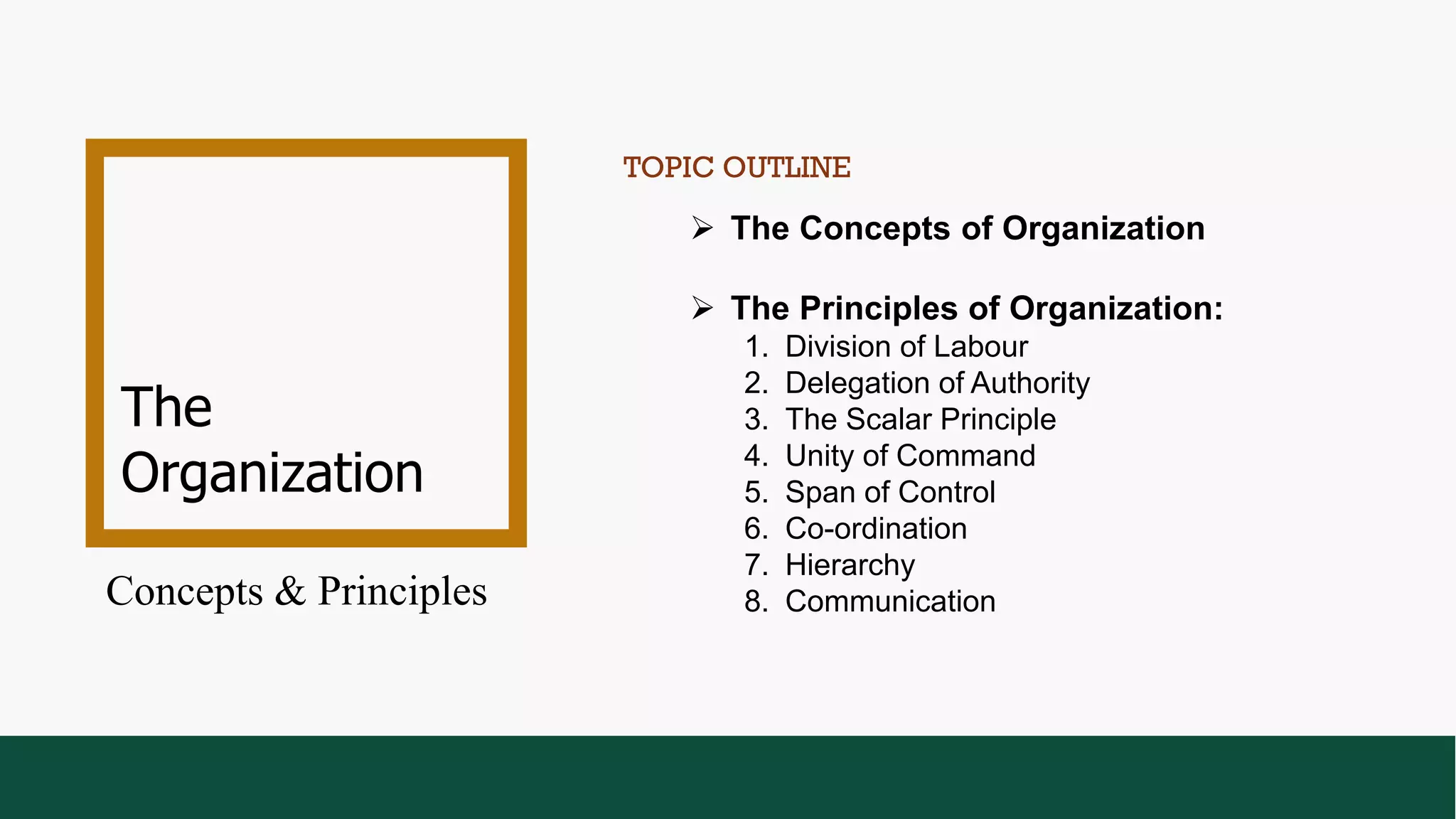 The Organization; Concepts & Principles | PDF