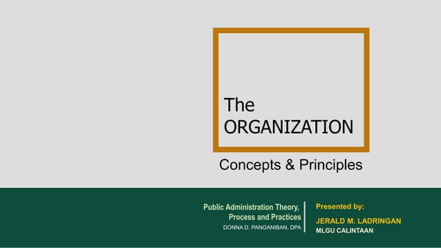 The Organization; Concepts & Principles | PDF | Business | Business and ...