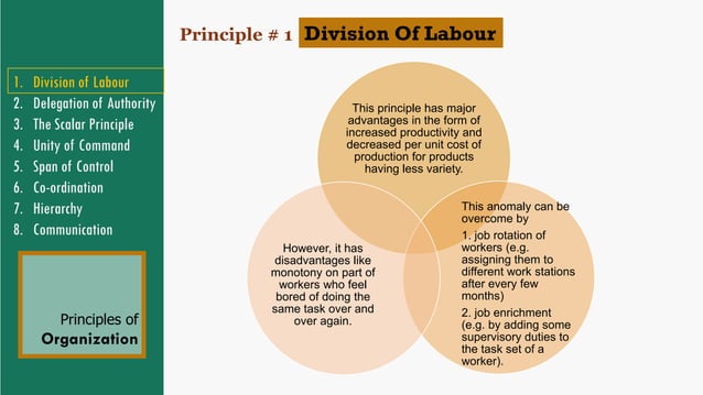 The Organization; Concepts & Principles | PDF | Business | Business and ...