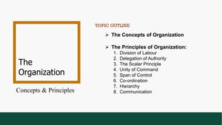 The Organization; Concepts & Principles | PDF