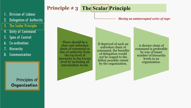 The Organization; Concepts & Principles | PDF | Business | Business and ...