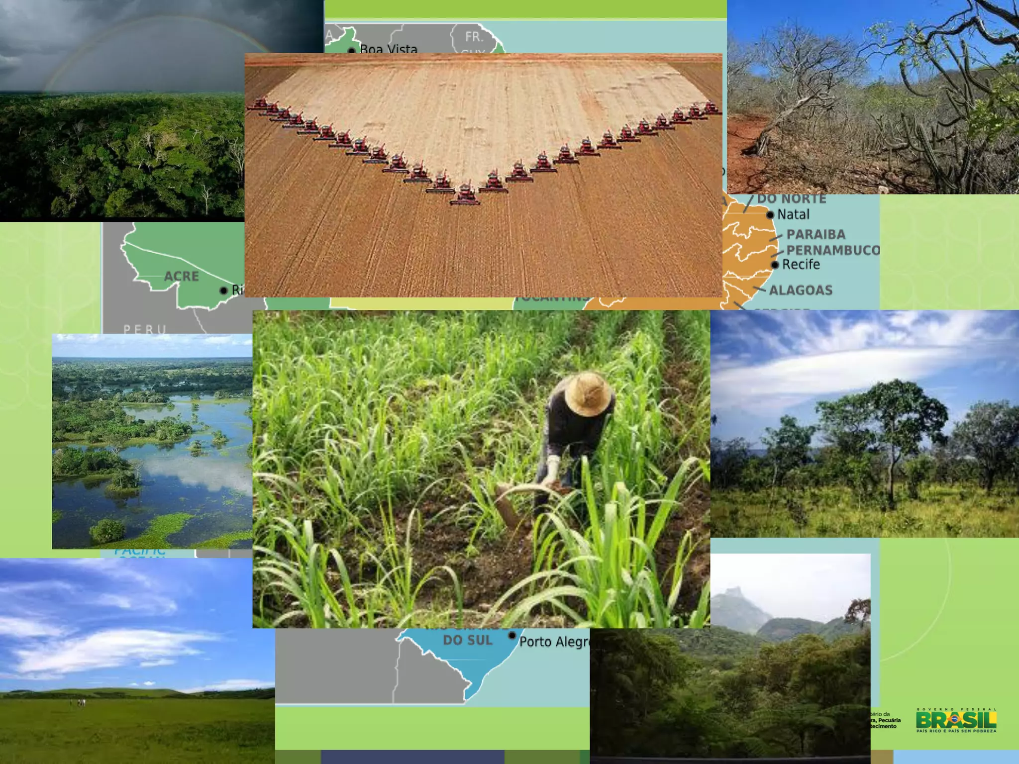 National Plan for Low Carbon Emissions in Agriculture - ABC Plan in ...