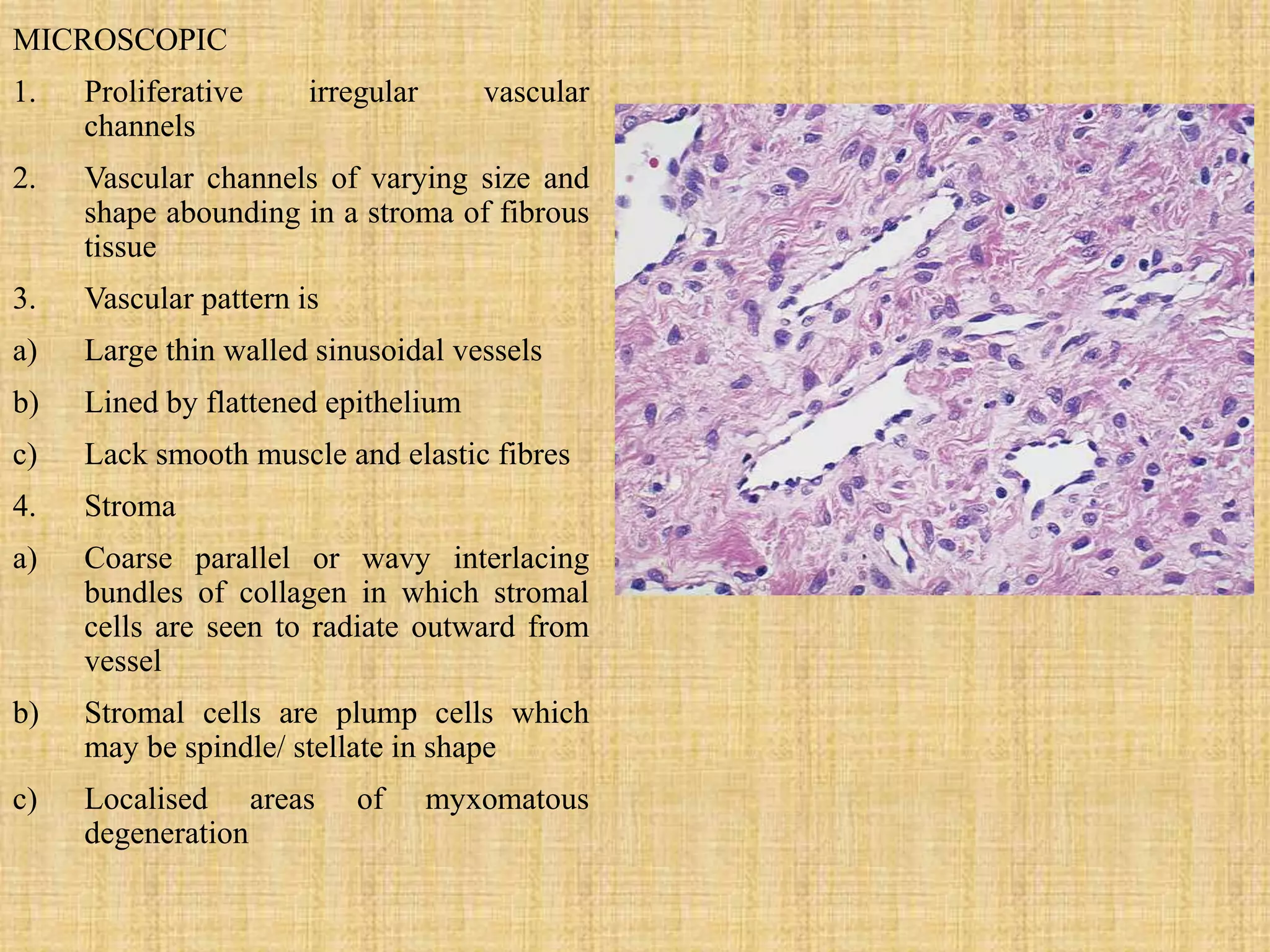 Jna(juvenile nasopharyngeal angiofibroma) current treatment modalities ...